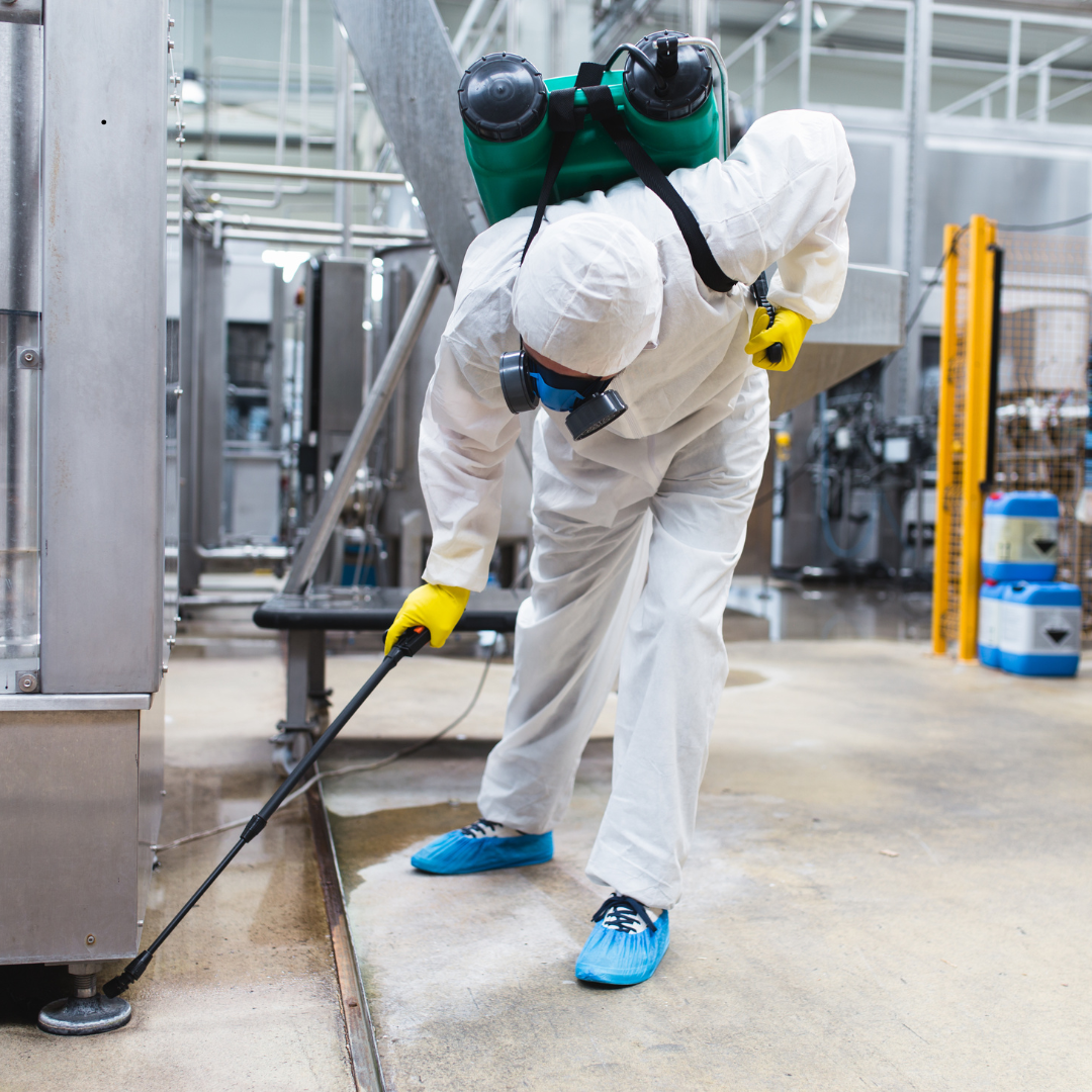 Mold Prevention - SafeHome Mold Solutions