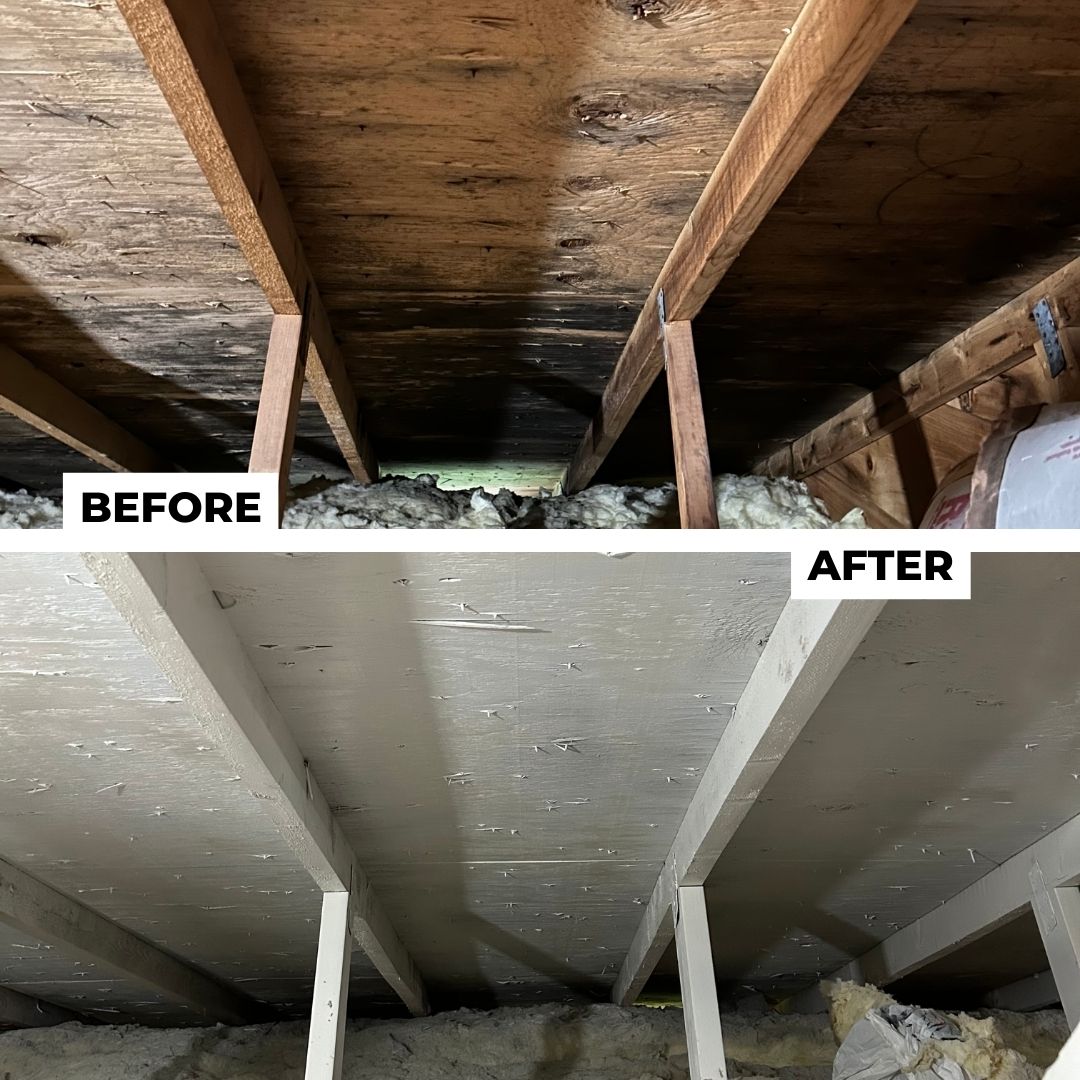 Mold inspection - SafeHome Mold Solutions